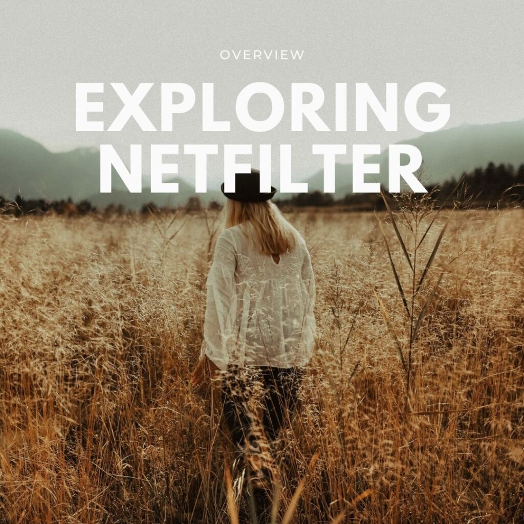 Exploring Netfilter: An Overview - Elufa Systems