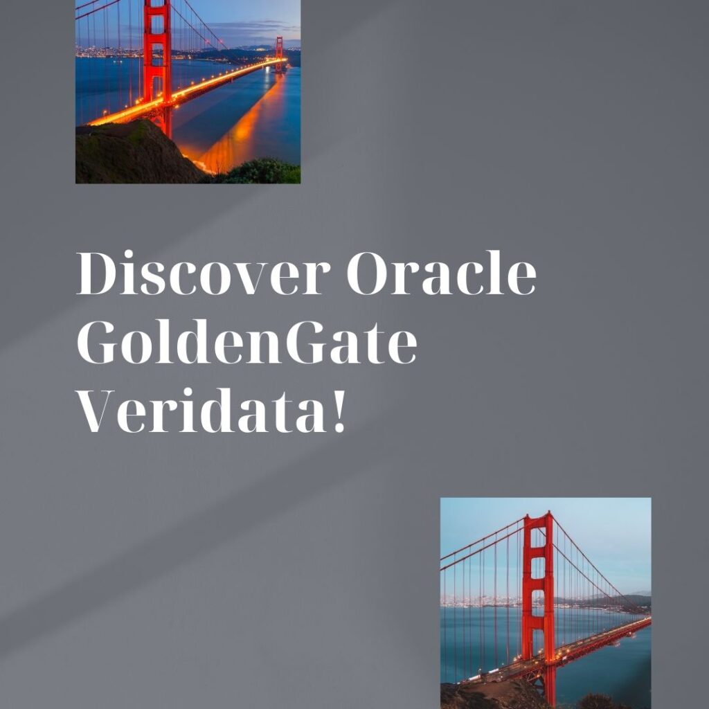 Understanding Oracle Goldengate Veridata Elufa Systems